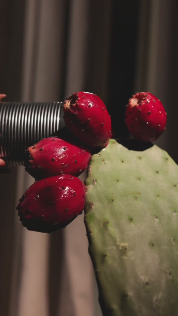 Calm + Sleep, Prickly Pear – Taste Salud