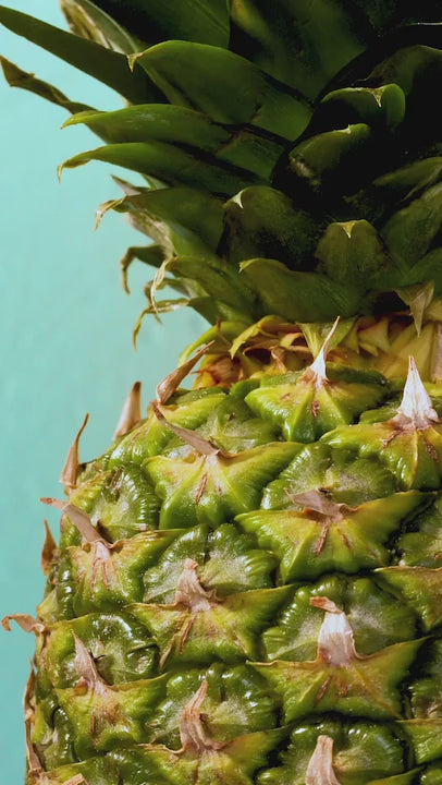 Hydration + Immunity, Piña | Pineapple – Taste Salud